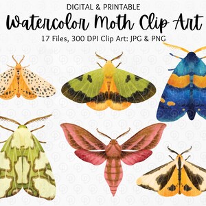 Watercolor Moth Clipart | Butterfly Clipart Set | Luna Moth Clipart ...