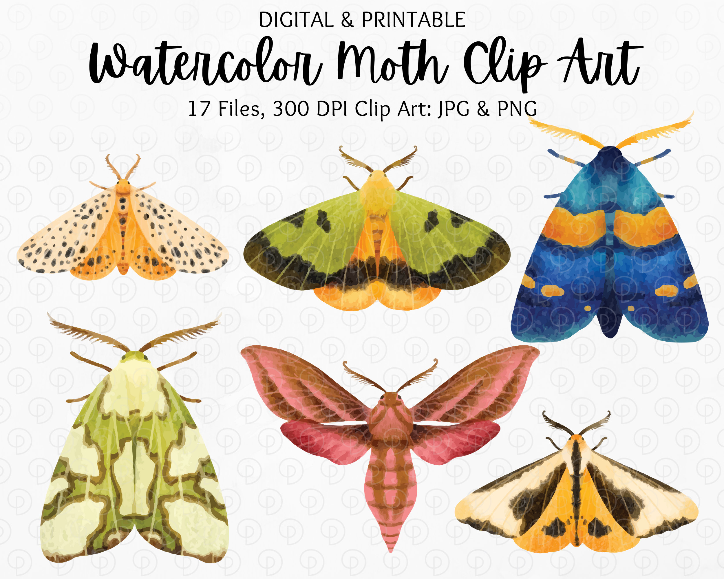 Watercolor Moth Clipart | Butterfly Clipart Set | Luna Moth Clipart ...