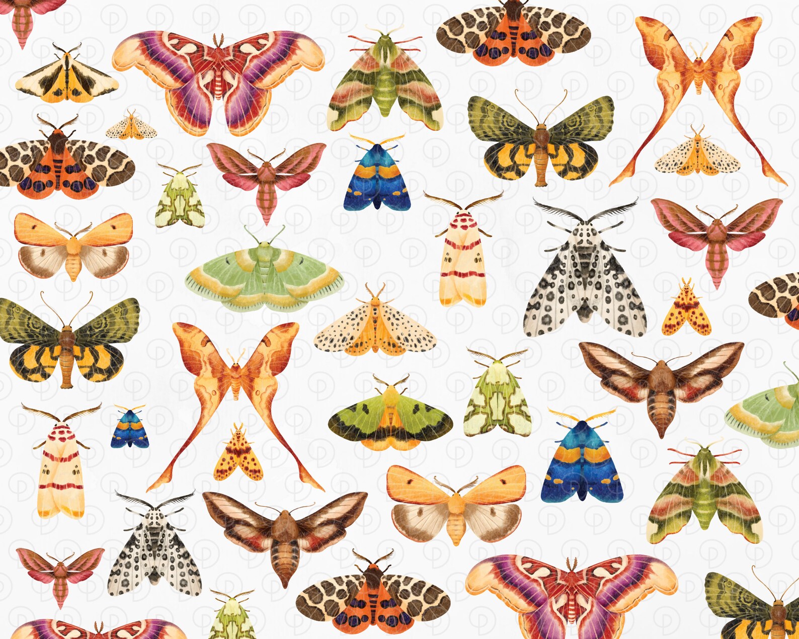 Watercolor Moth Clipart | Butterfly Clipart Set | Luna Moth Clipart ...