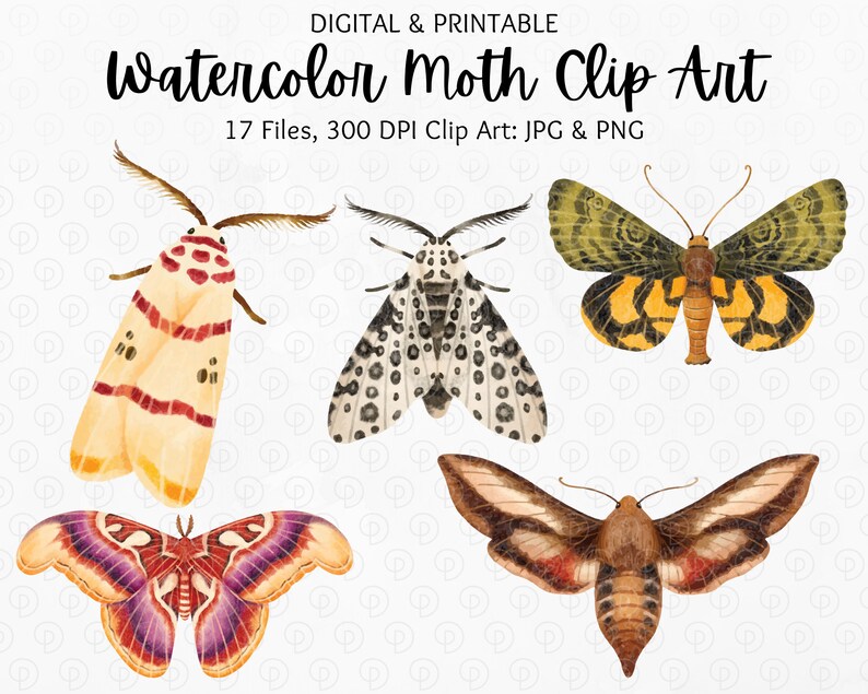 Watercolor Moth Clipart | Butterfly Clipart Set | Luna Moth Clipart ...