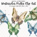 Watercolor Moth Clipart | Butterfly Clipart Set | Luna Moth Clipart ...