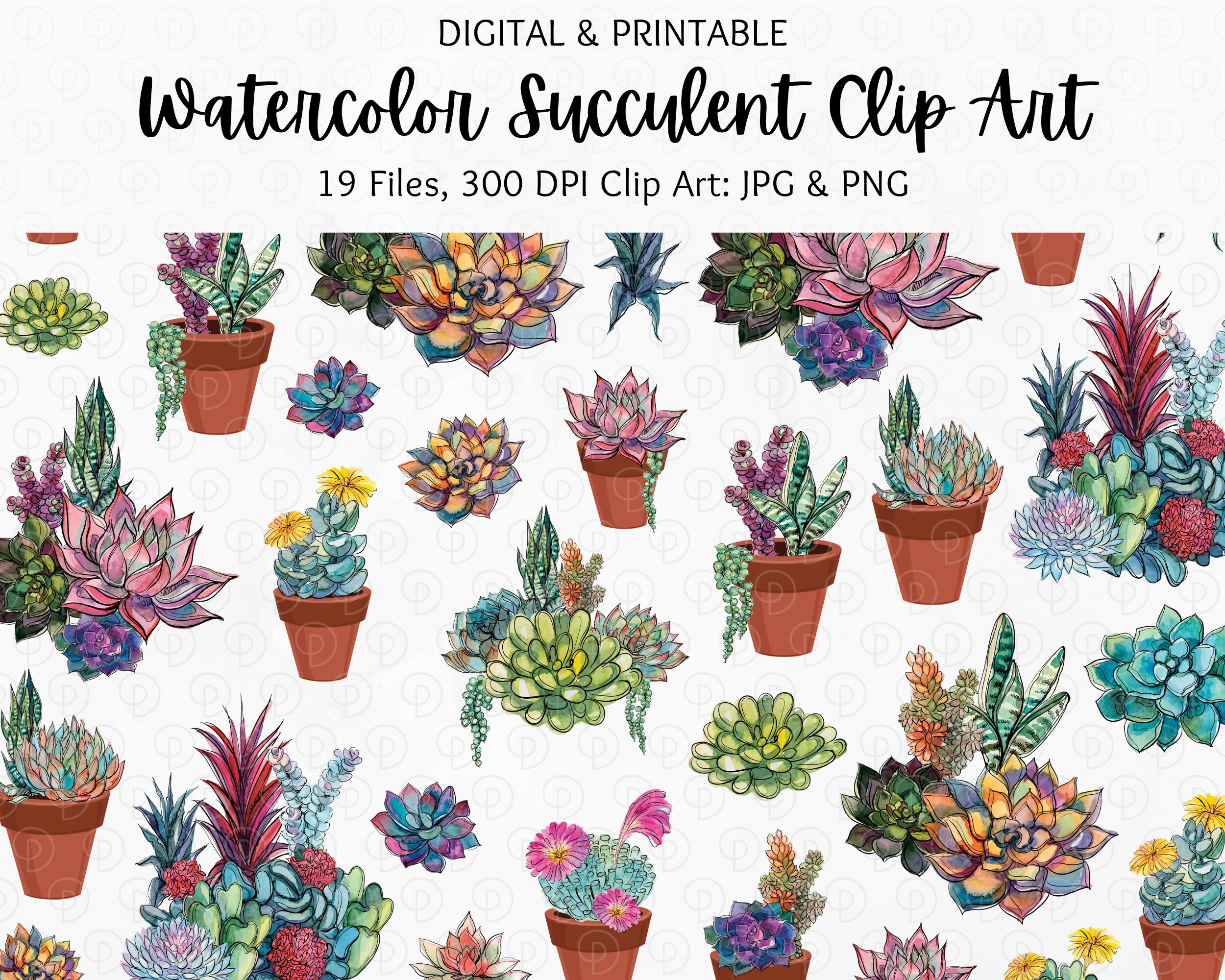 Watercolor Succulent Clipart Cactus Clipart Set Plant Clipart Succulent ...