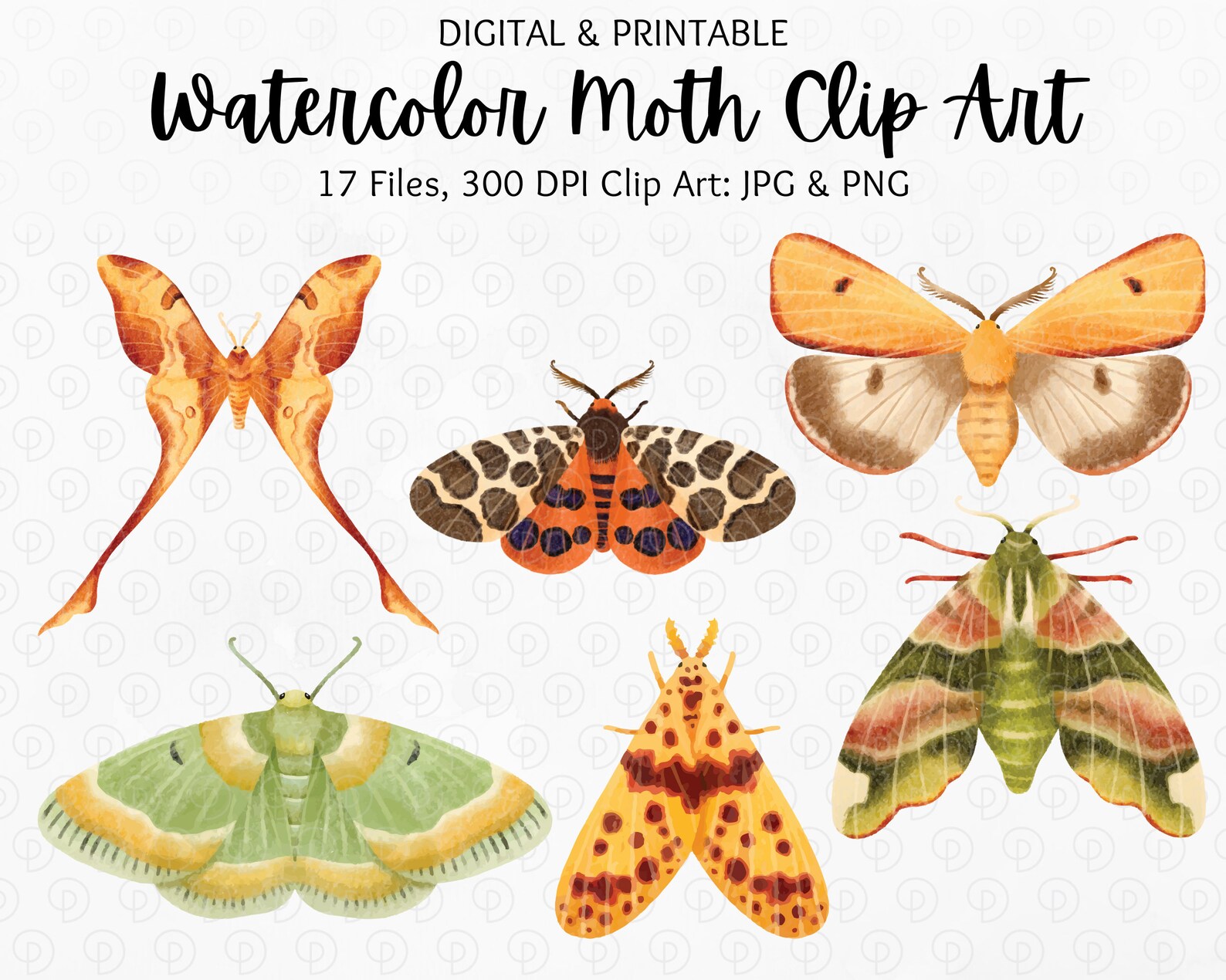 Watercolor Moth Clipart | Butterfly Clipart Set | Luna Moth Clipart ...