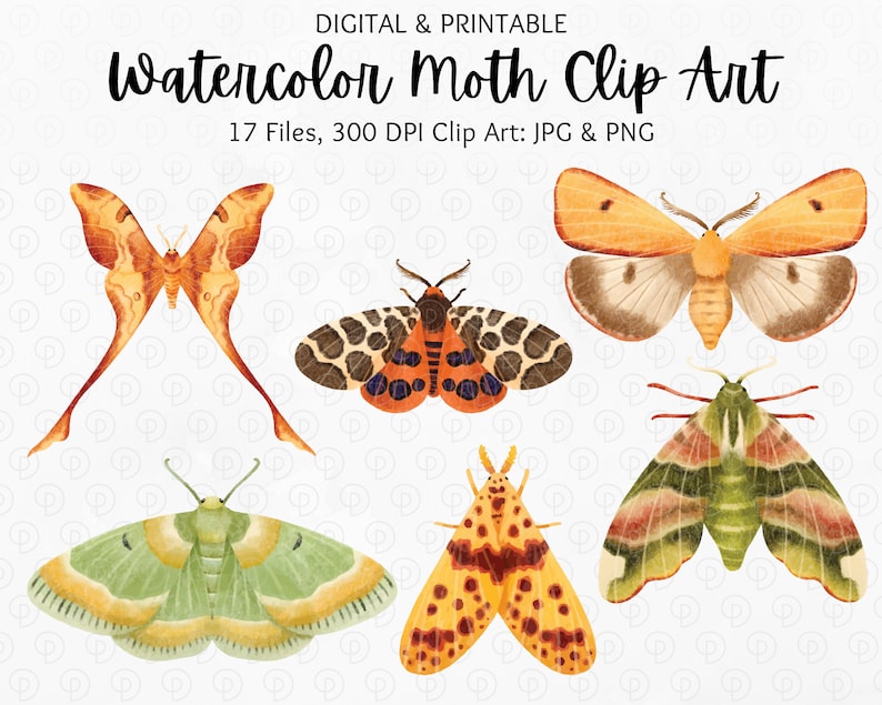 Watercolor Moth Clipart | Butterfly Clipart Set | Luna Moth Clipart ...