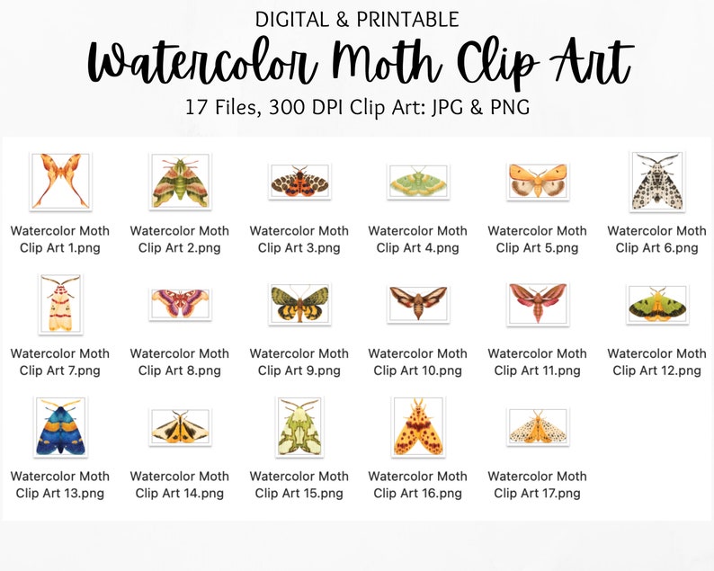 Watercolor Moth Clipart | Butterfly Clipart Set | Luna Moth Clipart ...