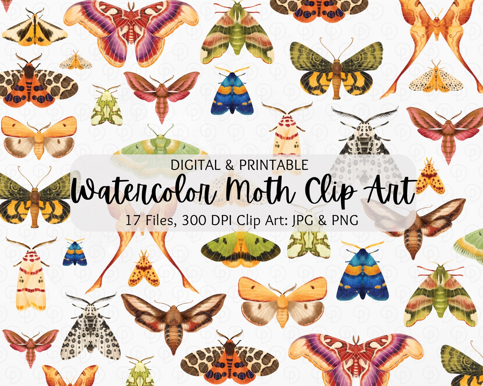 Watercolor Moth Clipart | Butterfly Clipart Set | Luna Moth Clipart ...
