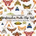 Watercolor Moth Clipart | Butterfly Clipart Set | Luna Moth Clipart ...