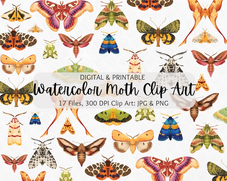 Watercolor Moth Clipart | Butterfly Clipart Set | Luna Moth Clipart ...