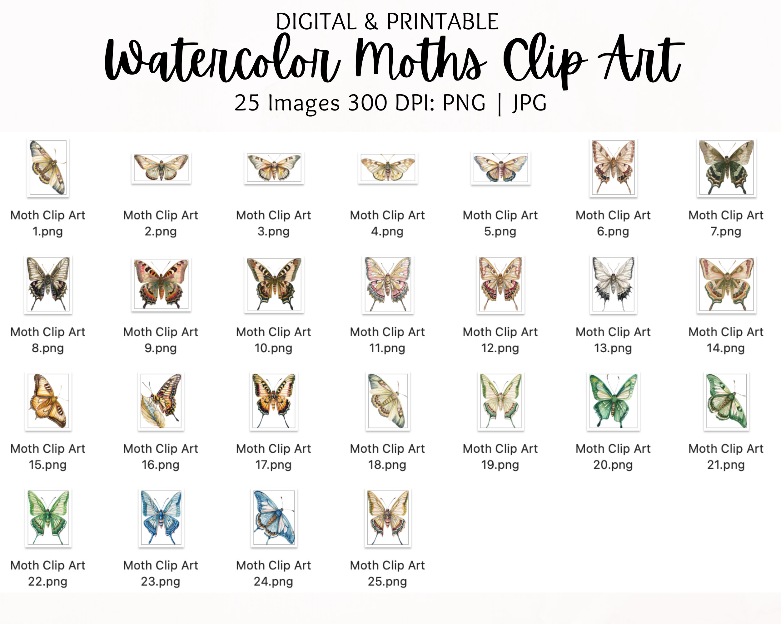 Watercolor Moth Clipart | Butterfly Clipart Set | Luna Moth Clipart ...