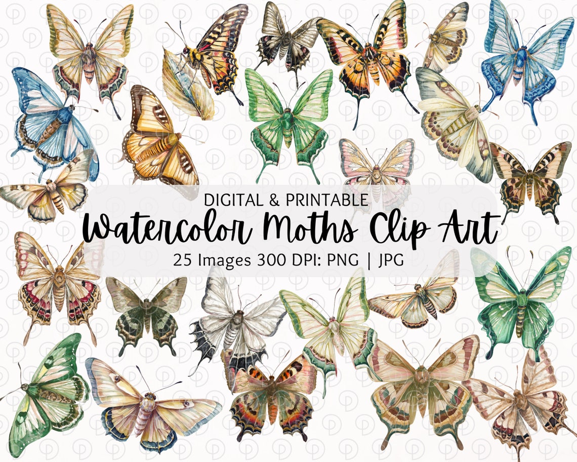 Watercolor Moth Clipart Butterfly Clipart Set Luna Moth Clipart Atlas ...