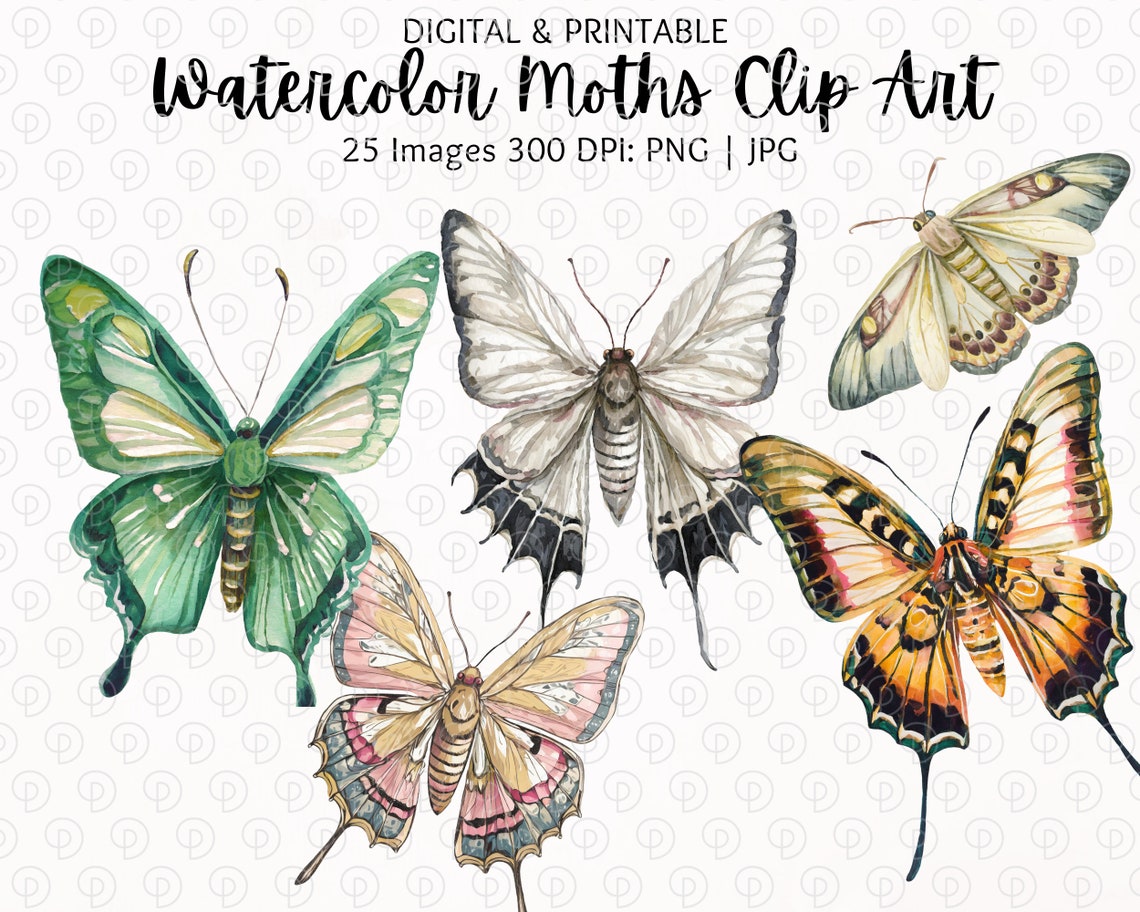 Watercolor Moth Clipart Butterfly Clipart Set Luna Moth Clipart Atlas ...
