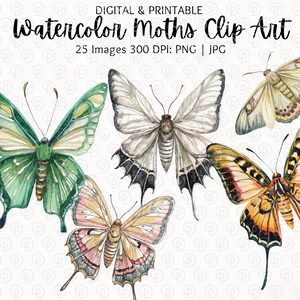 Watercolor Moth Clipart | Butterfly Clipart Set | Luna Moth Clipart ...