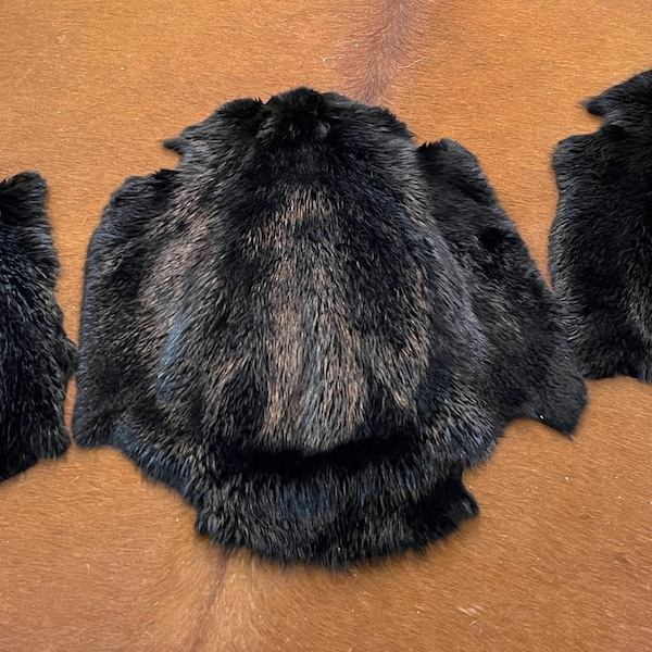 Beaver Pelt - Etsy