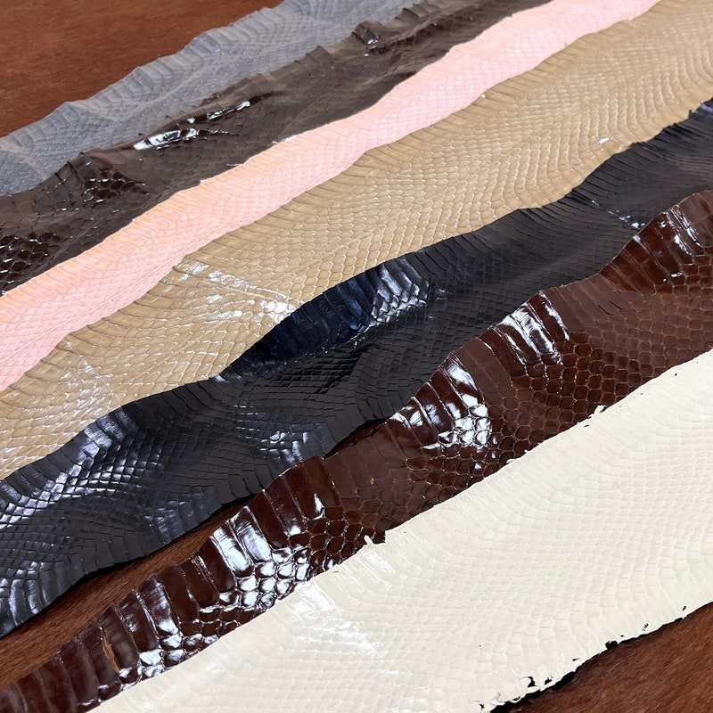 Real Snake Skin - Etsy