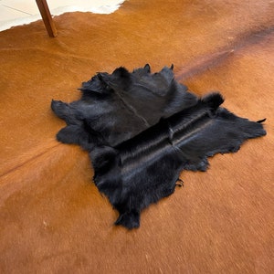Real Goat Skin Fur Pelt , Real Black Goatskin , Capricorn Skin Pelt ...