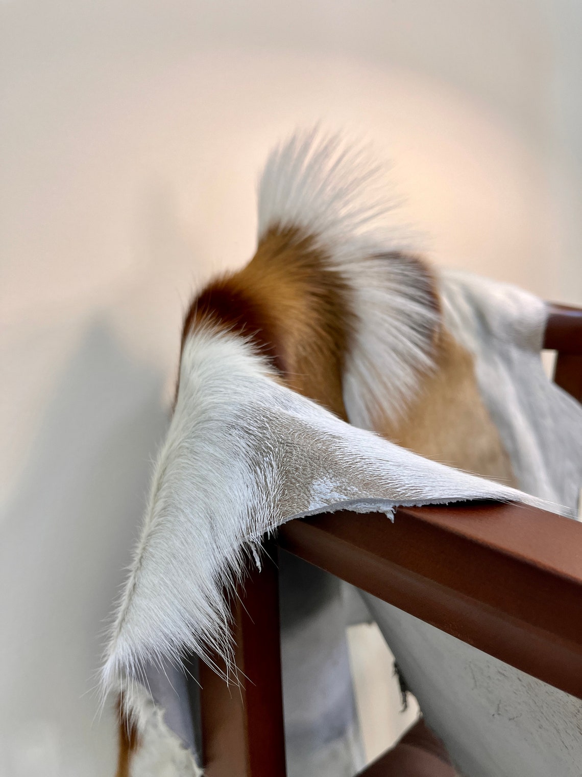 Springbok Skin Natural Springbok Skin XXL Size Tanned Springbok Hide ...