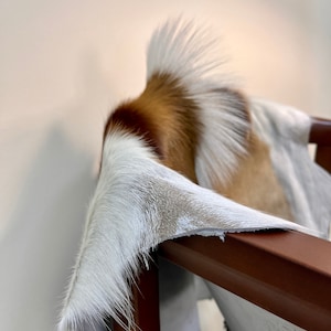 Springbok Skin Natural Springbok Skin XXL Size Tanned Springbok Hide ...