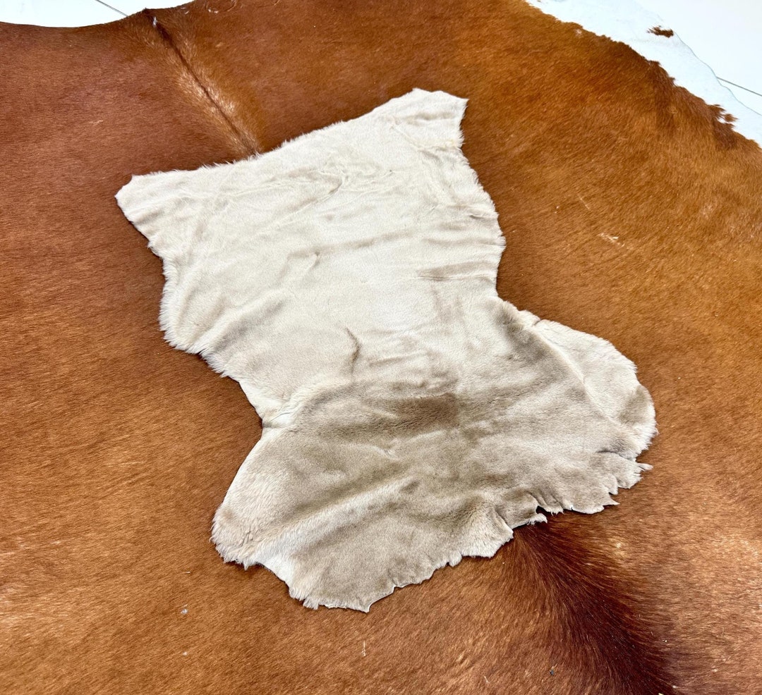 Gold Merino Sheepskin, Camel Color Sheep Fur, Craft Fur, Suede Back ...