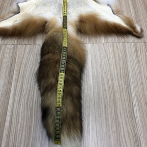 Red Fox Fur Pelt ,you've Never Seen One This Big Before, Soft Fox Fur ...