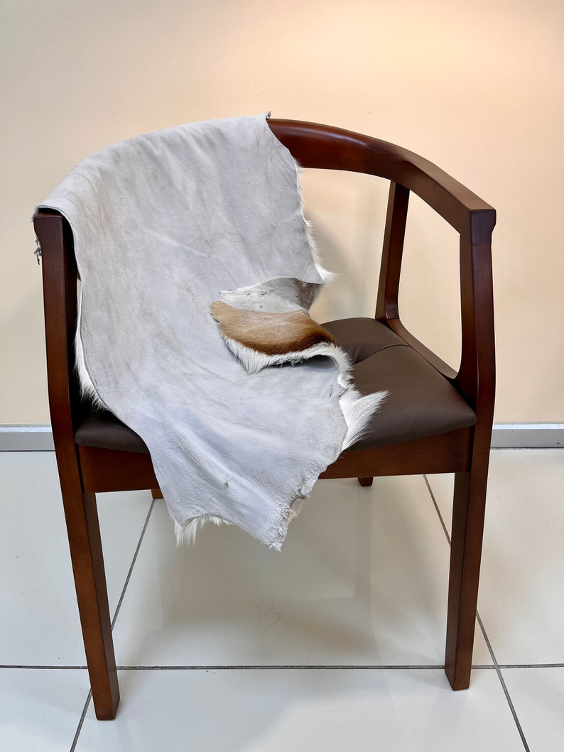 Springbok Skin Natural Springbok Skin XXL Size Tanned Springbok Hide ...