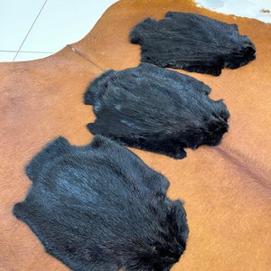 Tanned Beaver Fur Pelt, FREE SHIPPING, Natural and Black Dyed Beaver ...