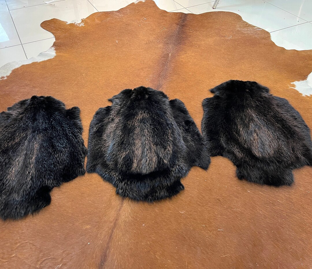 Tanned Beaver Fur Pelt, FREE SHIPPING, Natural and Black Dyed Beaver ...