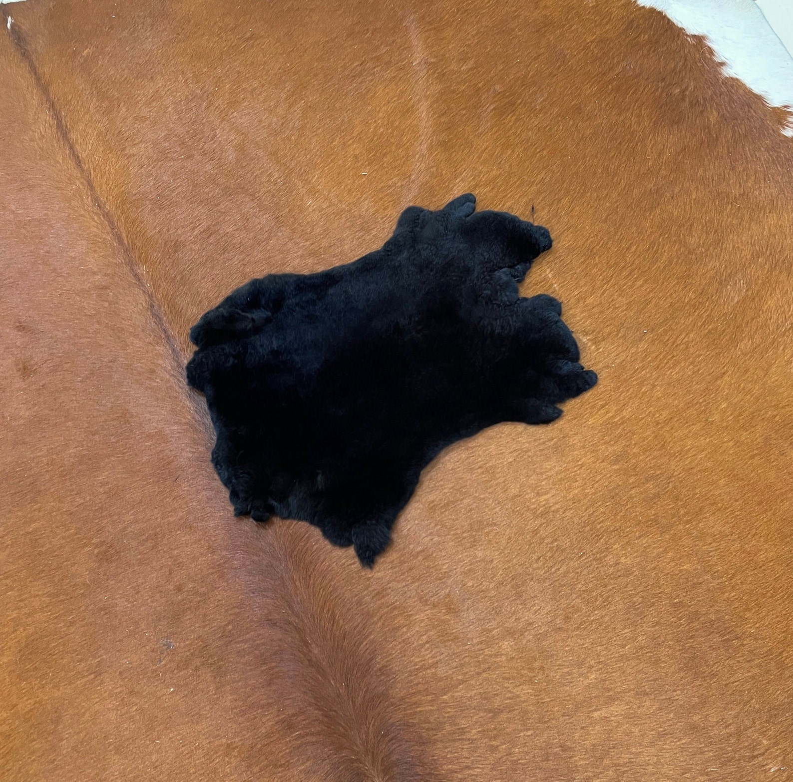 Black Rabbit Pelt Rabbit Pelt Soft Luxury REX Pelt Real - Etsy