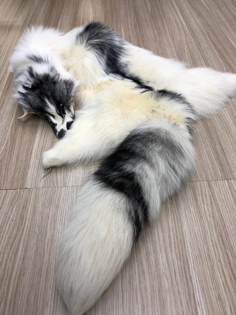 Arctic Marble Fox 100% Genuine Arctic Marble Fox White Fox - Etsy