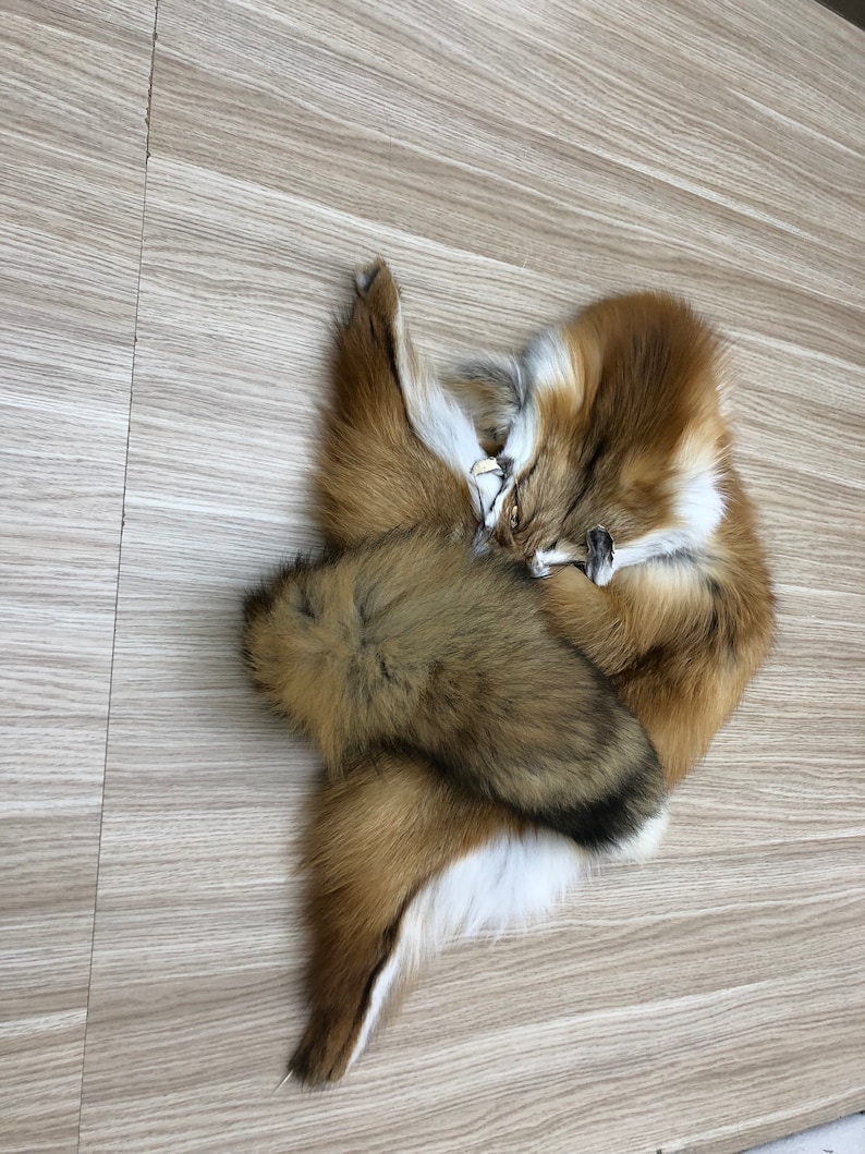 Real Luxury Fox Pelt Red Fox Pelt genuine Fox Pelt 100% - Etsy UK