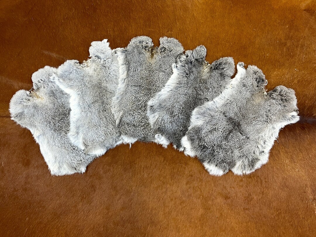 Gray Rabbit Pelt Natural Rabbit Pelt Real Rabbit Fur Soft Rabbit Skin ...