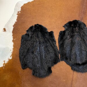 Tanned Beaver Fur Pelt, FREE SHIPPING, Natural and Black Dyed Beaver ...