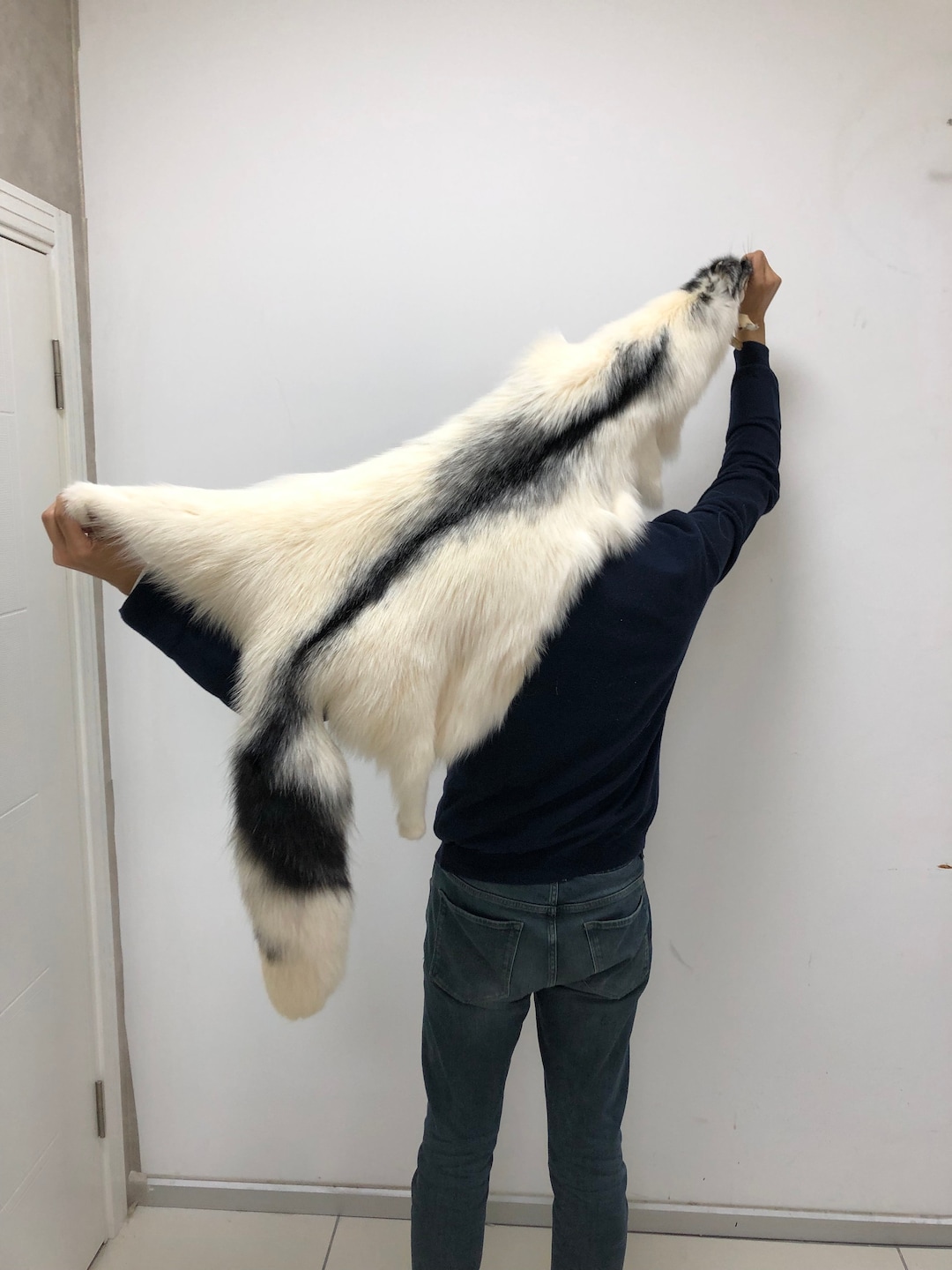 Natural White Arctic Marble Fox Pelt , You Have Never Seen Such a Large ...
