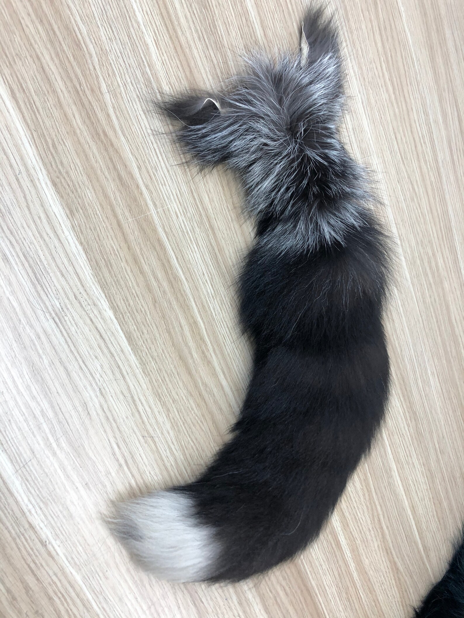 Real Large Size Fox Tail Real Natural Large Size Fox Tail - Etsy