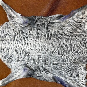 Karakul Lamb Pelts , Swakara Pelt Genuine Karakul Lambskin Black ...