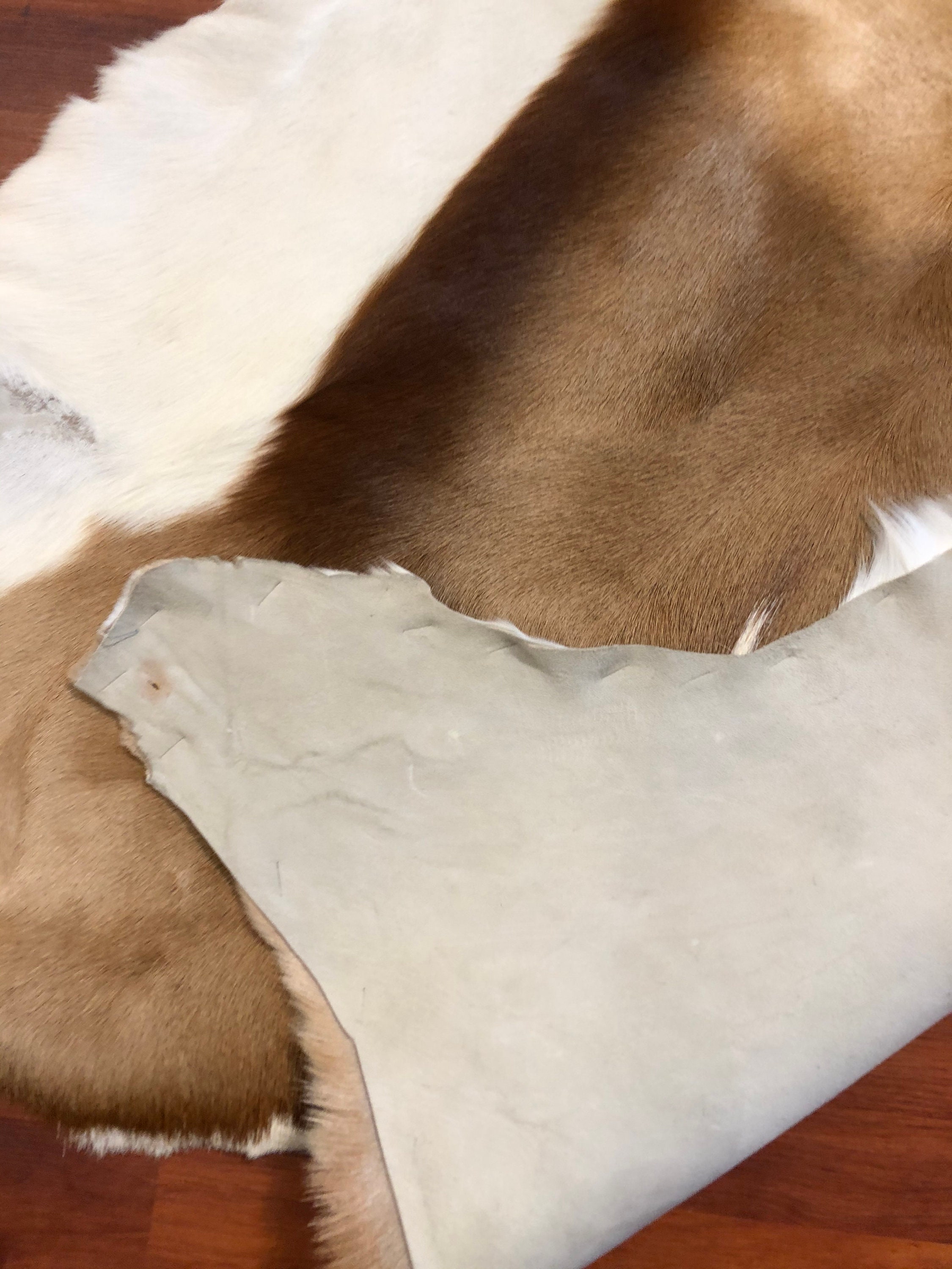 Real Springbok Skin Genuine Deer Skin High quality Tanned | Etsy