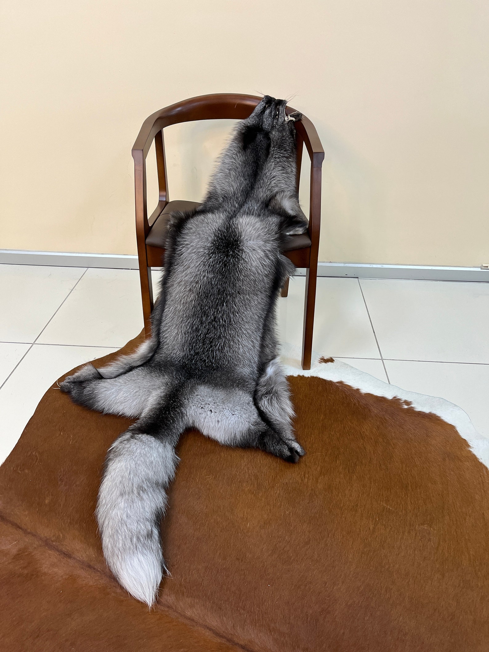 Real Fox Fur Pelt Frost Fox Pelt Real Fox Pelt DIY Fur - Etsy