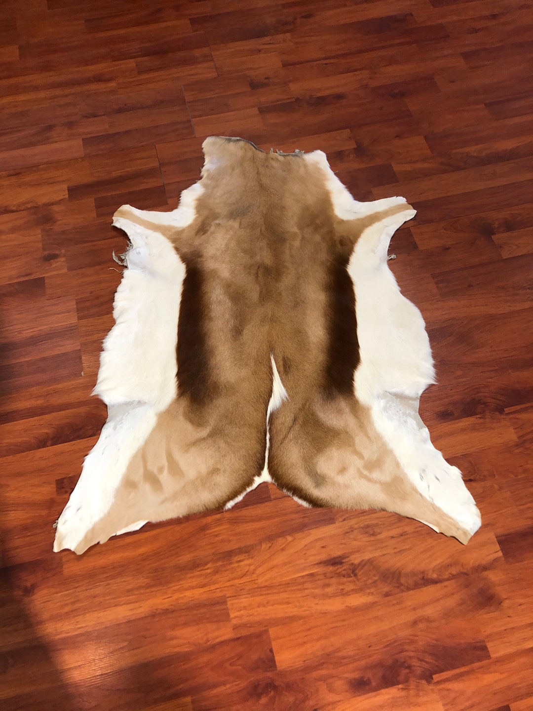 Real Springbok Skin Genuine Deer Skin High Quality Tanned Shiny Feather ...