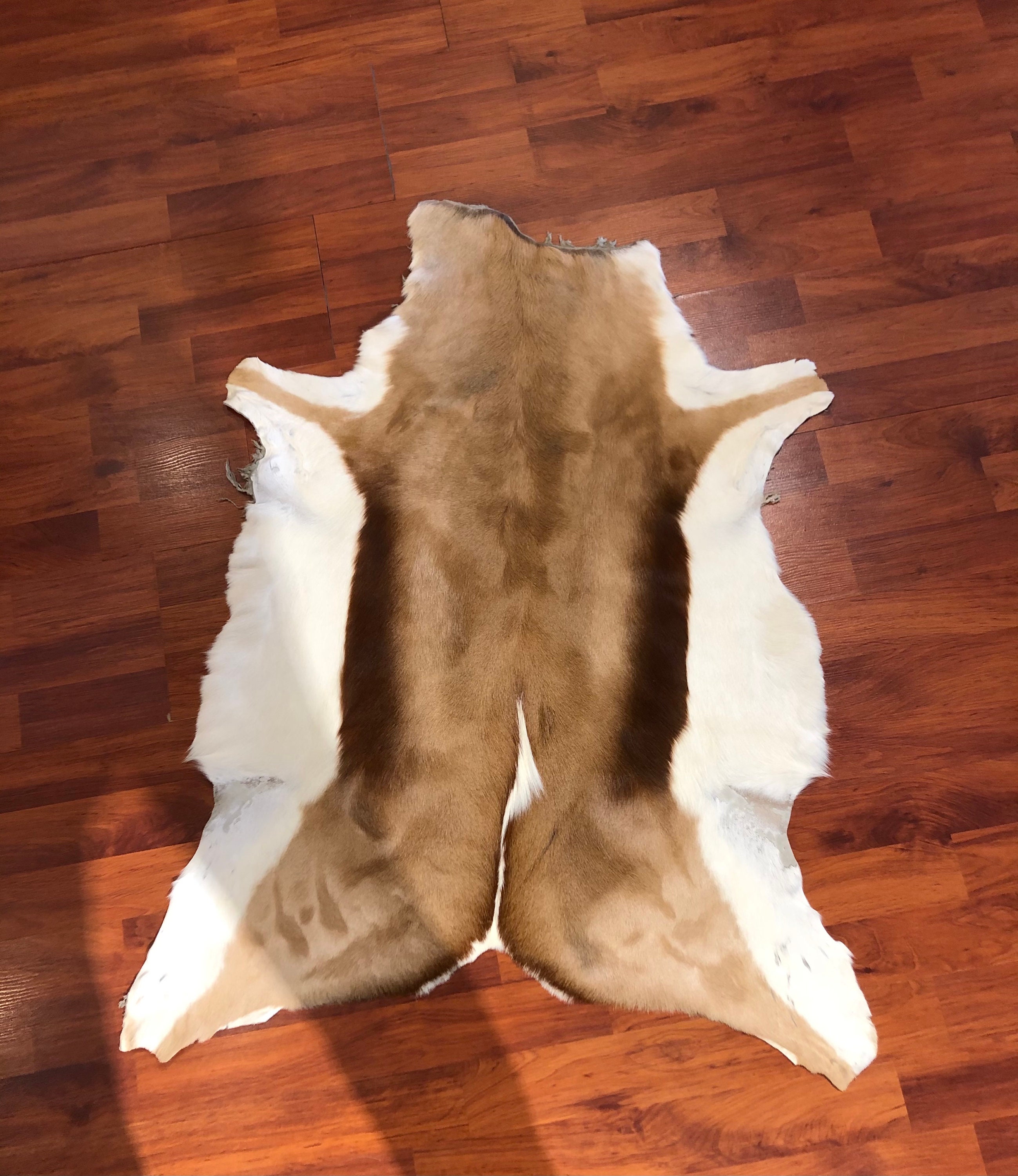 Real Springbok Skin Genuine Deer Skin High Quality Tanned - Etsy