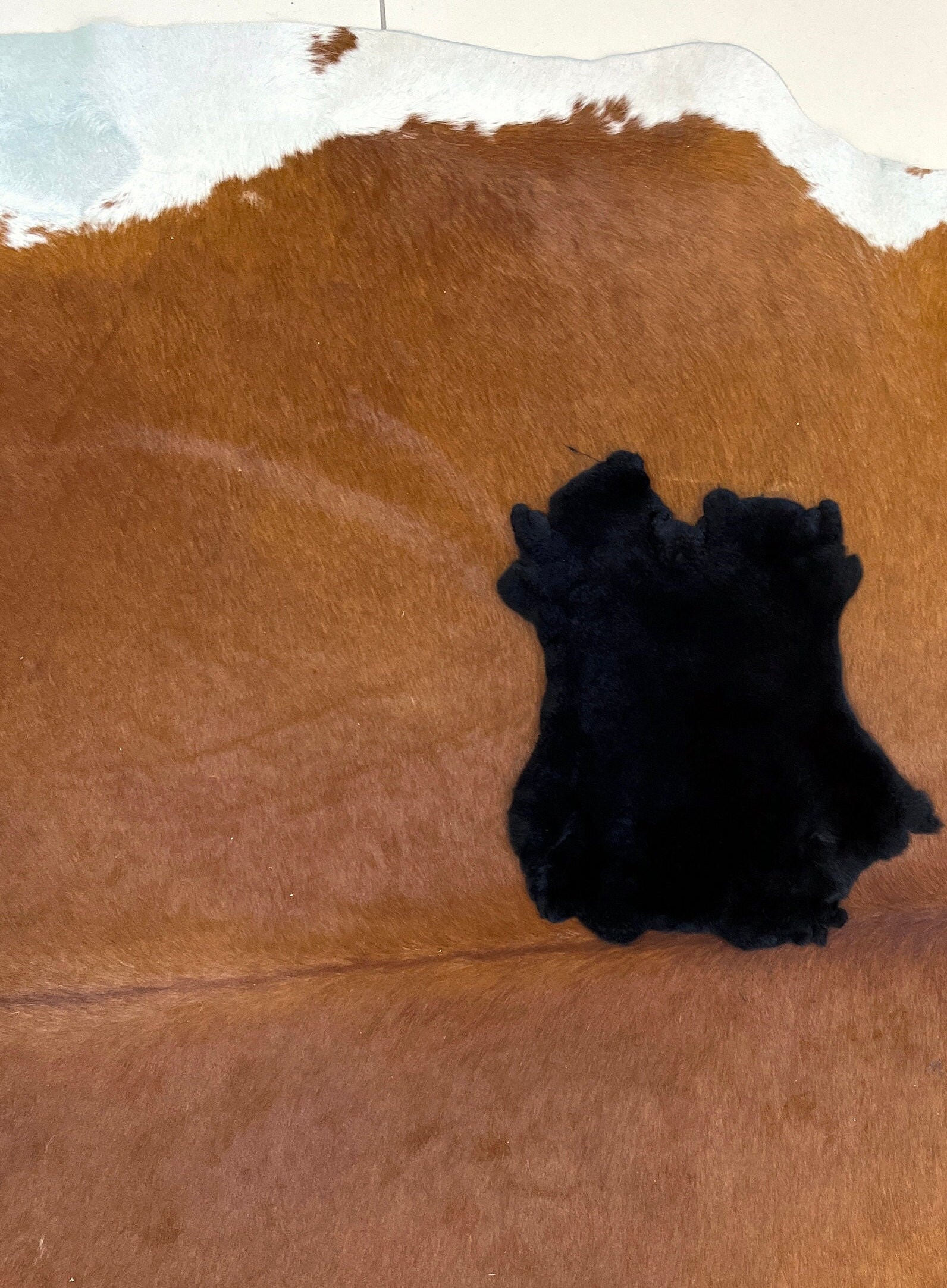 Black Rabbit Pelt , Rabbit Pelt , Soft Luxury REX Pelt Real Rabbit Fur ...