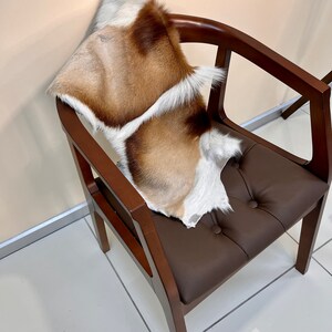 Springbok Skin Natural Springbok Skin XXL Size Tanned Springbok Hide ...