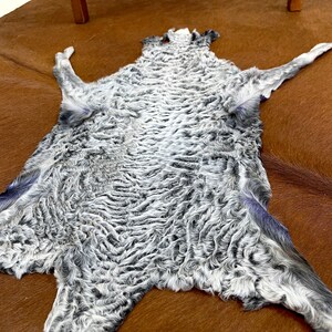 Karakul Lamb Pelts , Swakara Pelt Genuine Karakul Lambskin Black ...