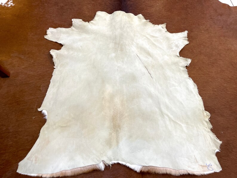 Real Deer Pelt , Natural Deer Skin , Real Deerskin , Deer Hide , High ...