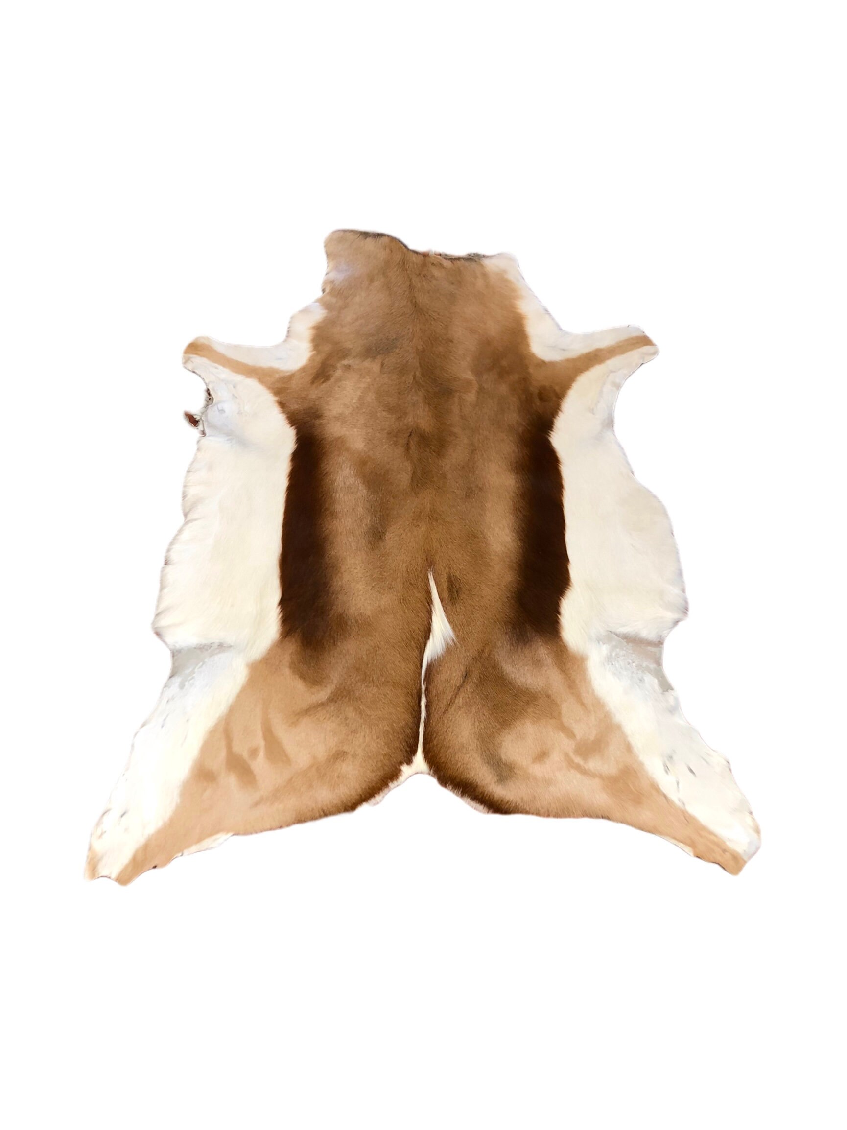 Real Springbok Skin Genuine Deer Skin High Quality Tanned - Etsy