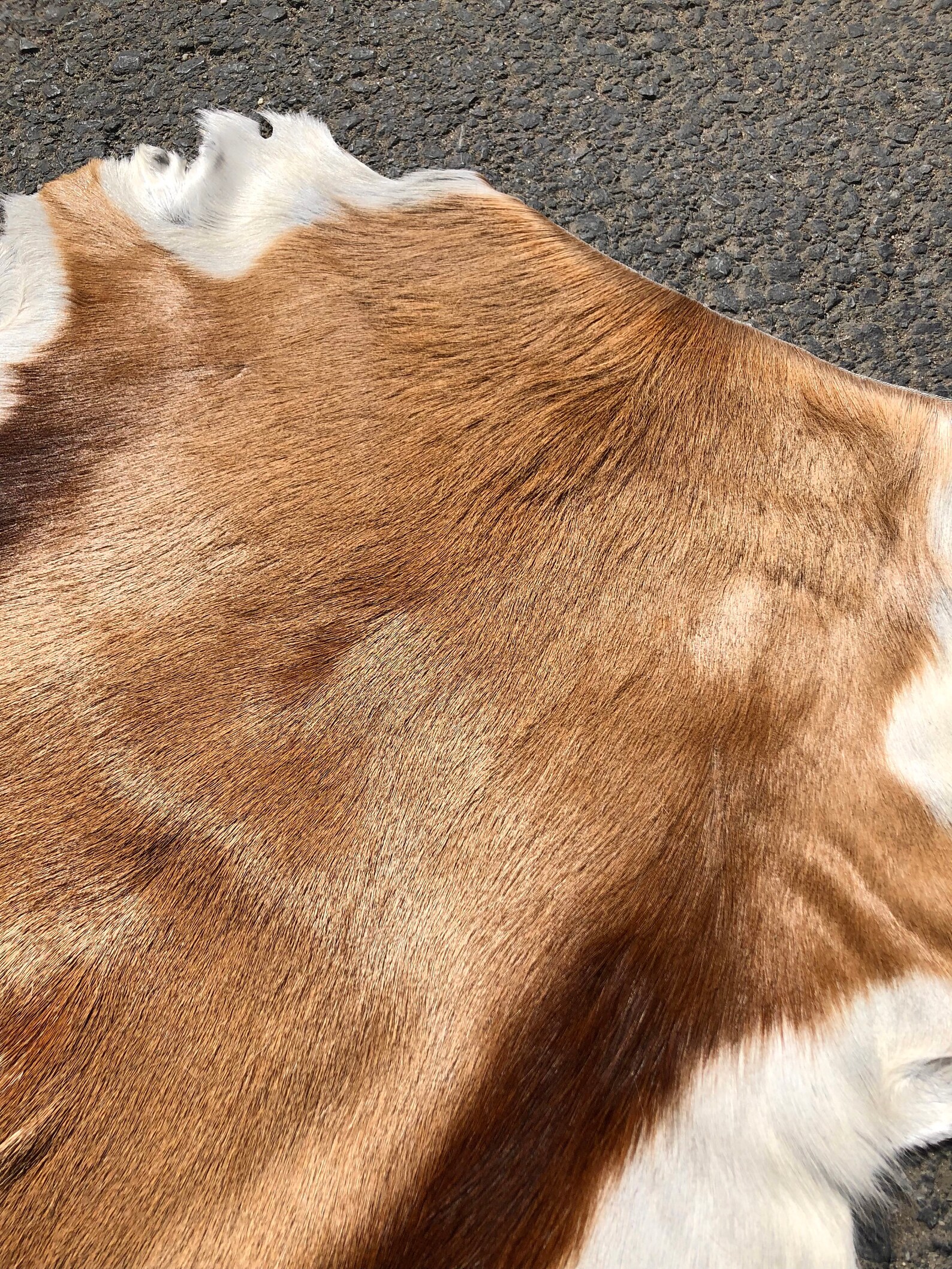 100% Deer Skin Natural Deer Skin Genuine Deerskin Deer Pelt | Etsy