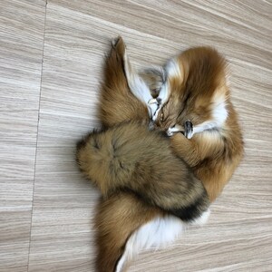 Real Luxury Fox Pelt , Red Fox Pelt ,genuine Fox Pelt , 100% Red Fox ...