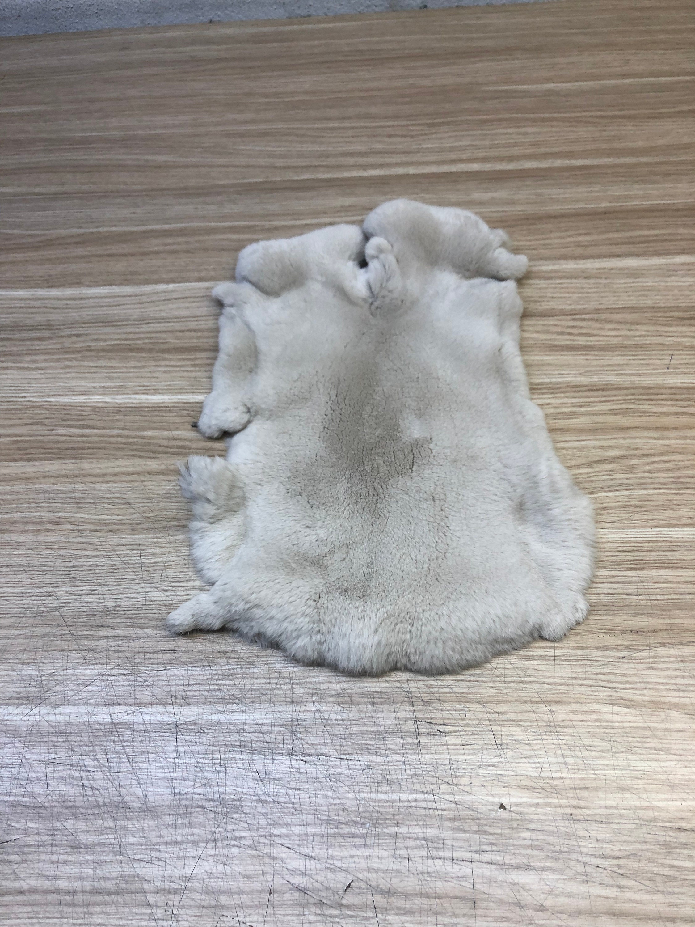 Beige Rabbit Rex Fur Large Size Luxury Rex Rabbit Pelt Rabbit | Etsy