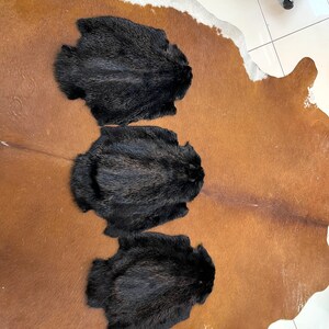 Tanned Beaver Fur Pelt, FREE SHIPPING, Natural and Black Dyed Beaver ...