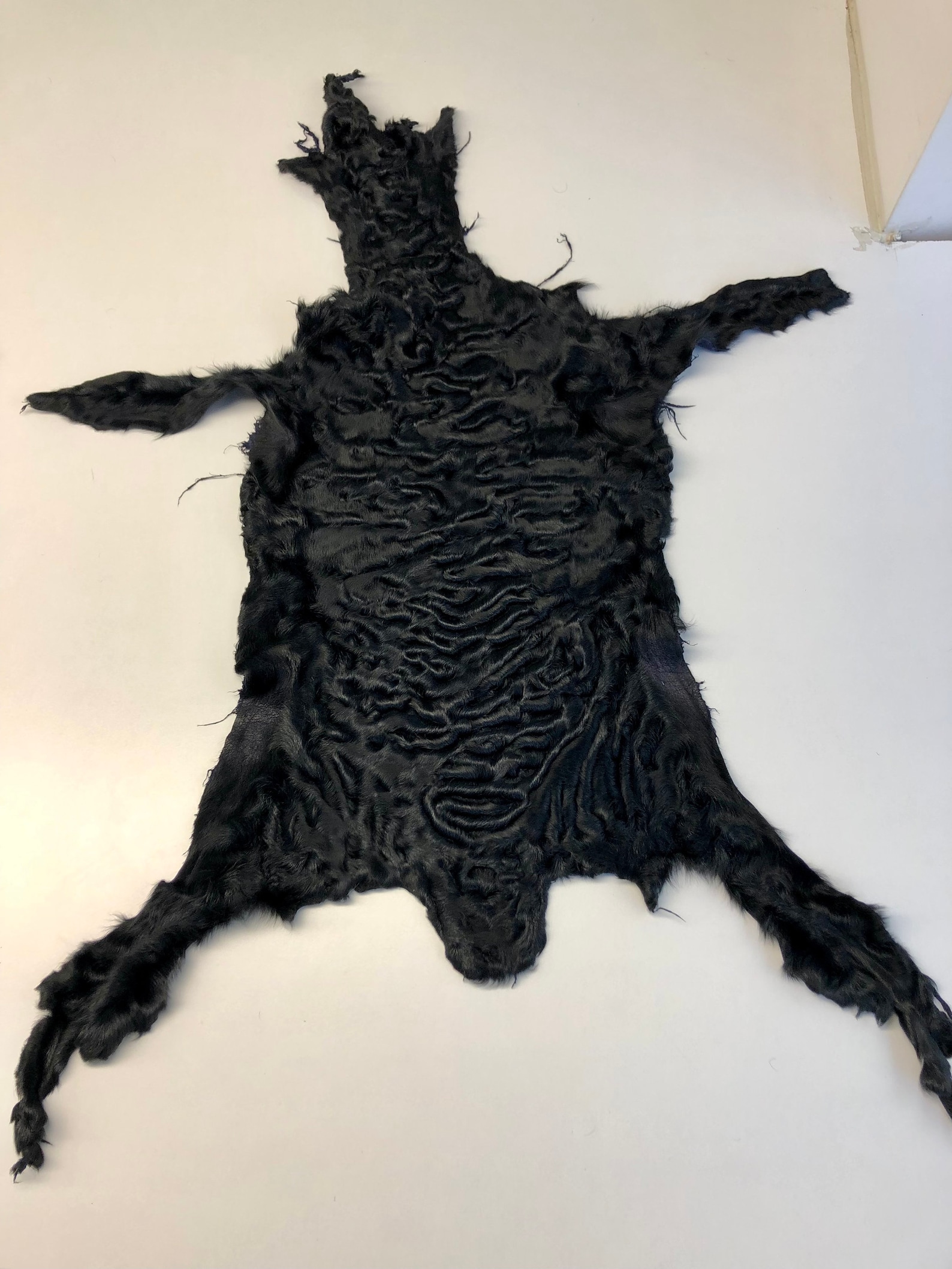 Karakul Lamb Pelts Swakara Pelt Genuine Karakul Lambskin - Etsy