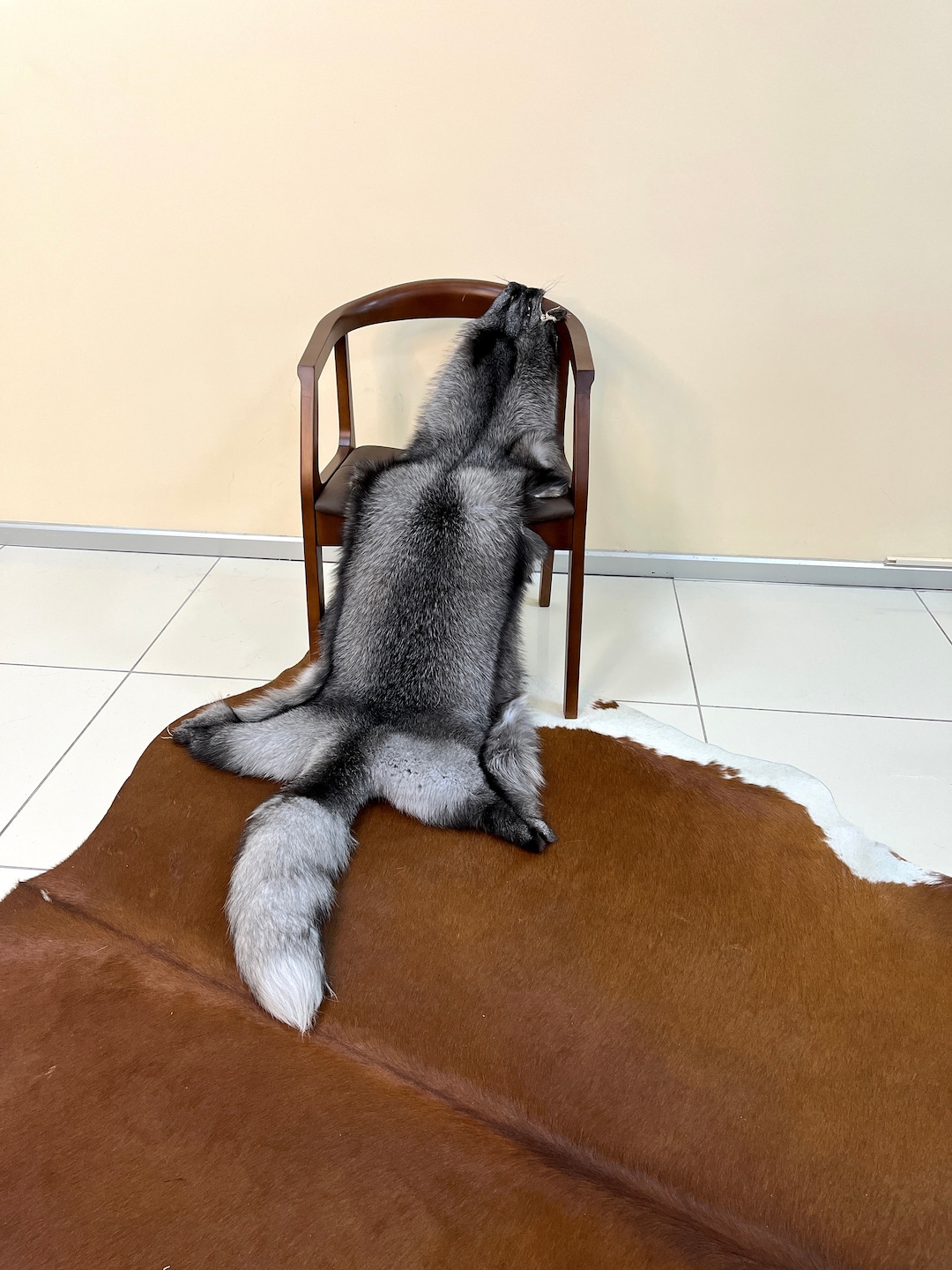 Real Fox Fur Pelt, Frost Fox Pelt , Real Fox Pelt , DIY Fur Crafts ...