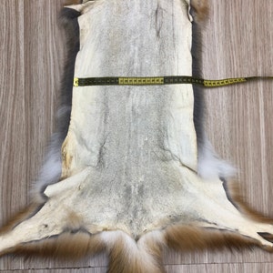 Real Luxury Fox Pelt , Red Fox Pelt ,genuine Fox Pelt , 100% Red Fox ...